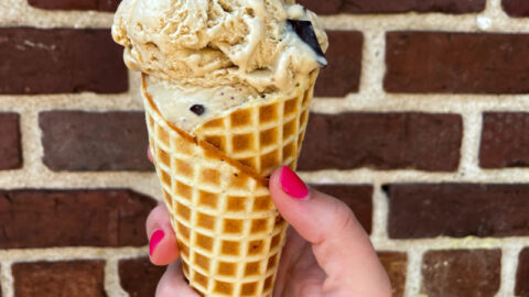 Springbok Espresso Chip | Off Track Ice Cream